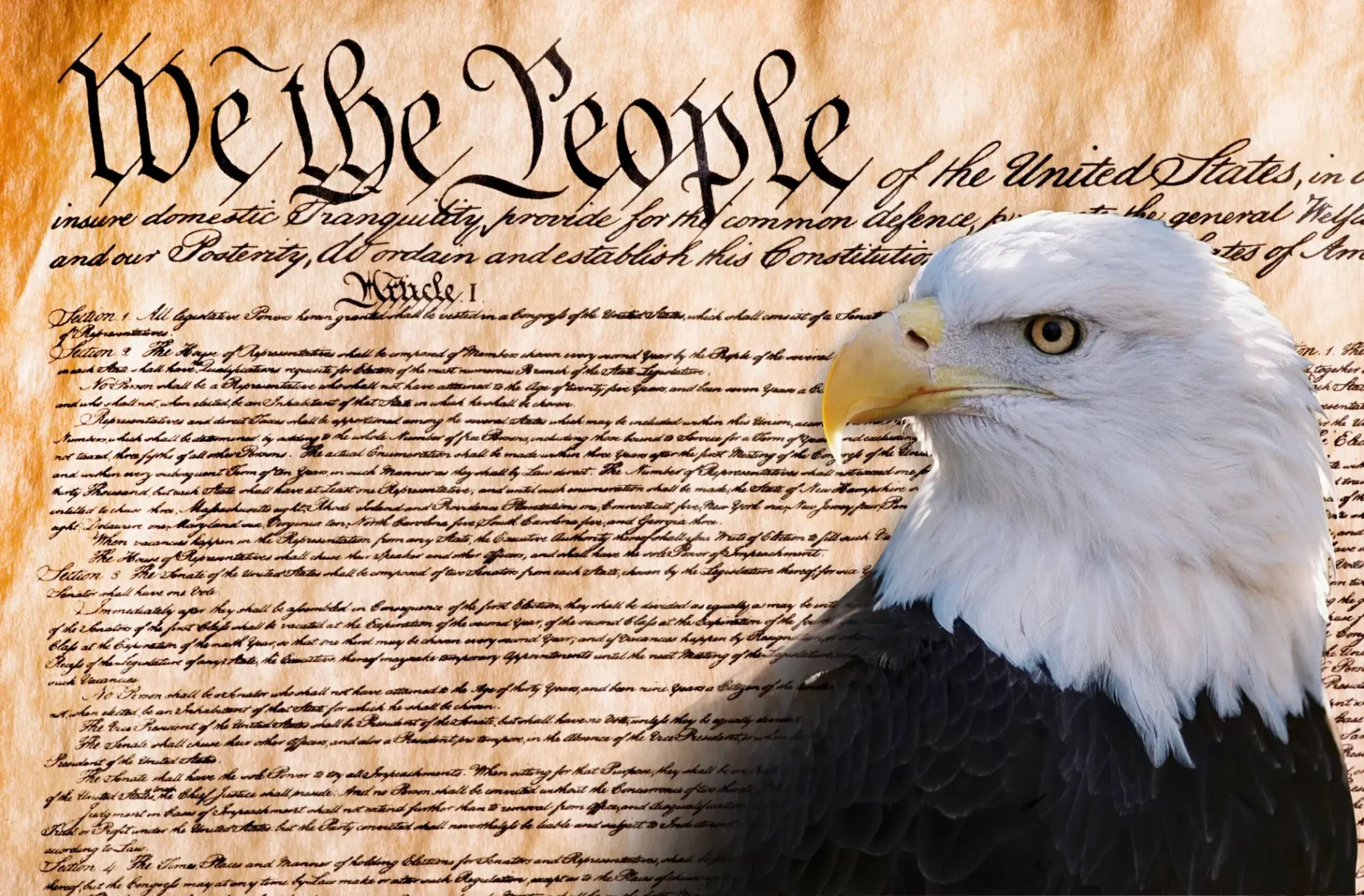 "Of the People, by the People and for the People" - UNALIENABLE RIGHTS